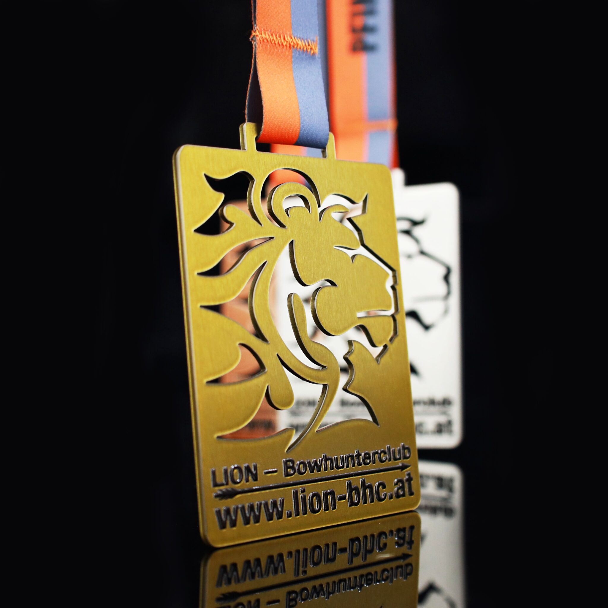 3D SKill Board – Lion-Bowhunterclub