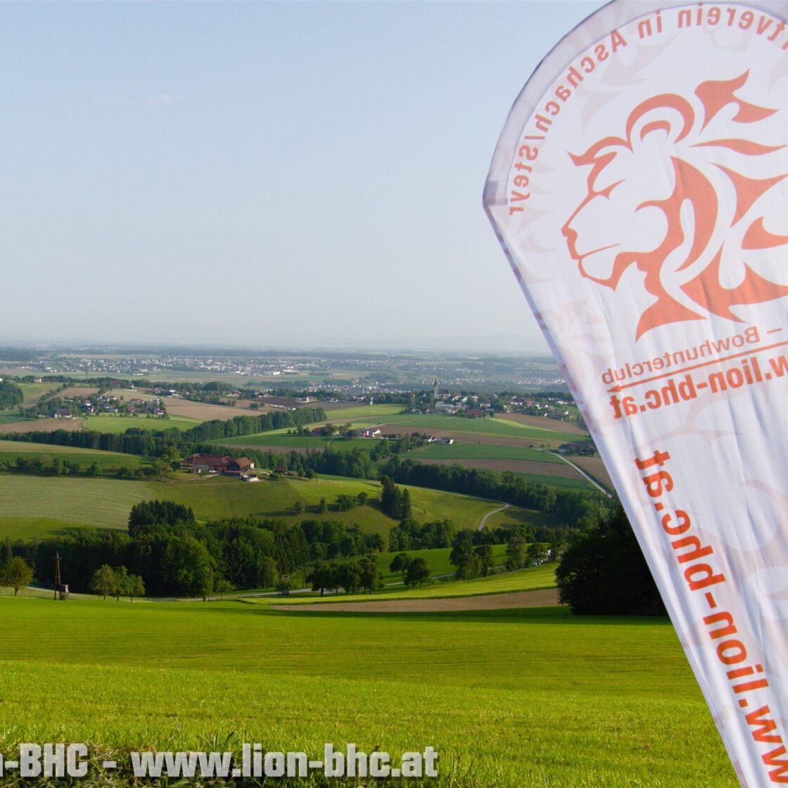 3D SKill Board – Lion-Bowhunterclub